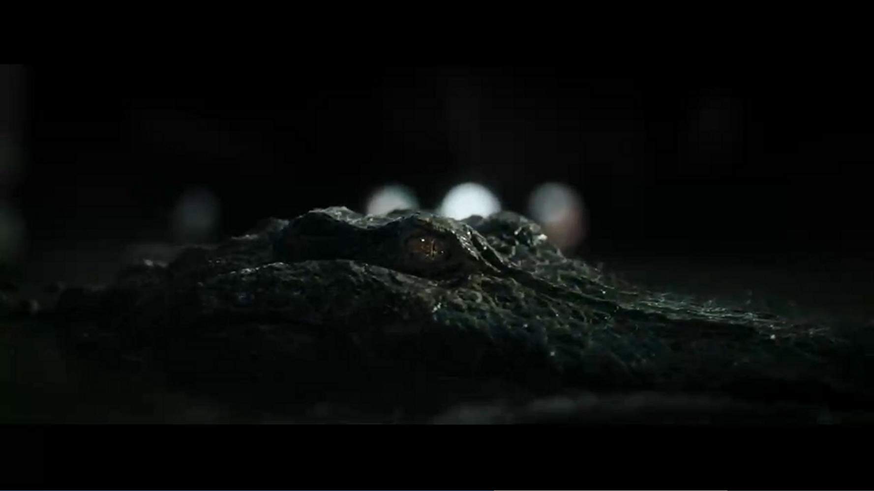 Crawl (2019) - Film Blitz