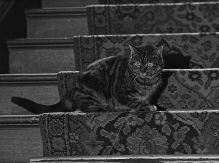 The Shadow of the Cat (1961) - Film Blitz