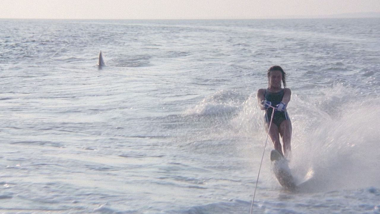 Jaws 2 (1978) - Film Blitz
