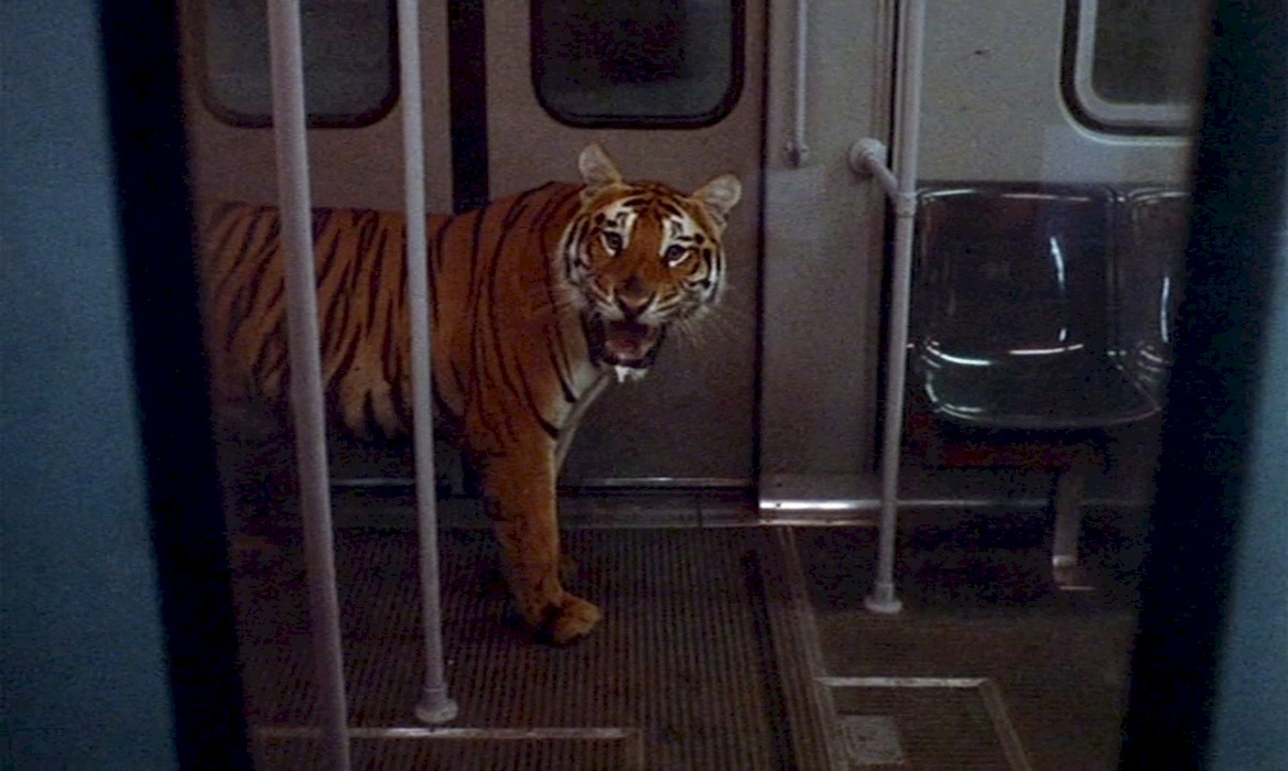 The Wild Beasts (1984) - Film Blitz