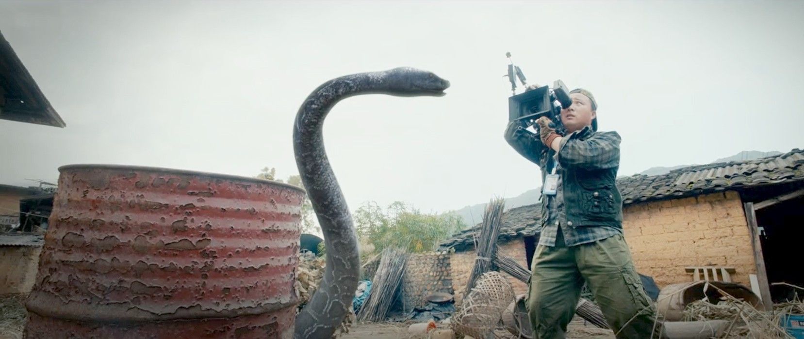 Monster Python (2018) - Film Blitz