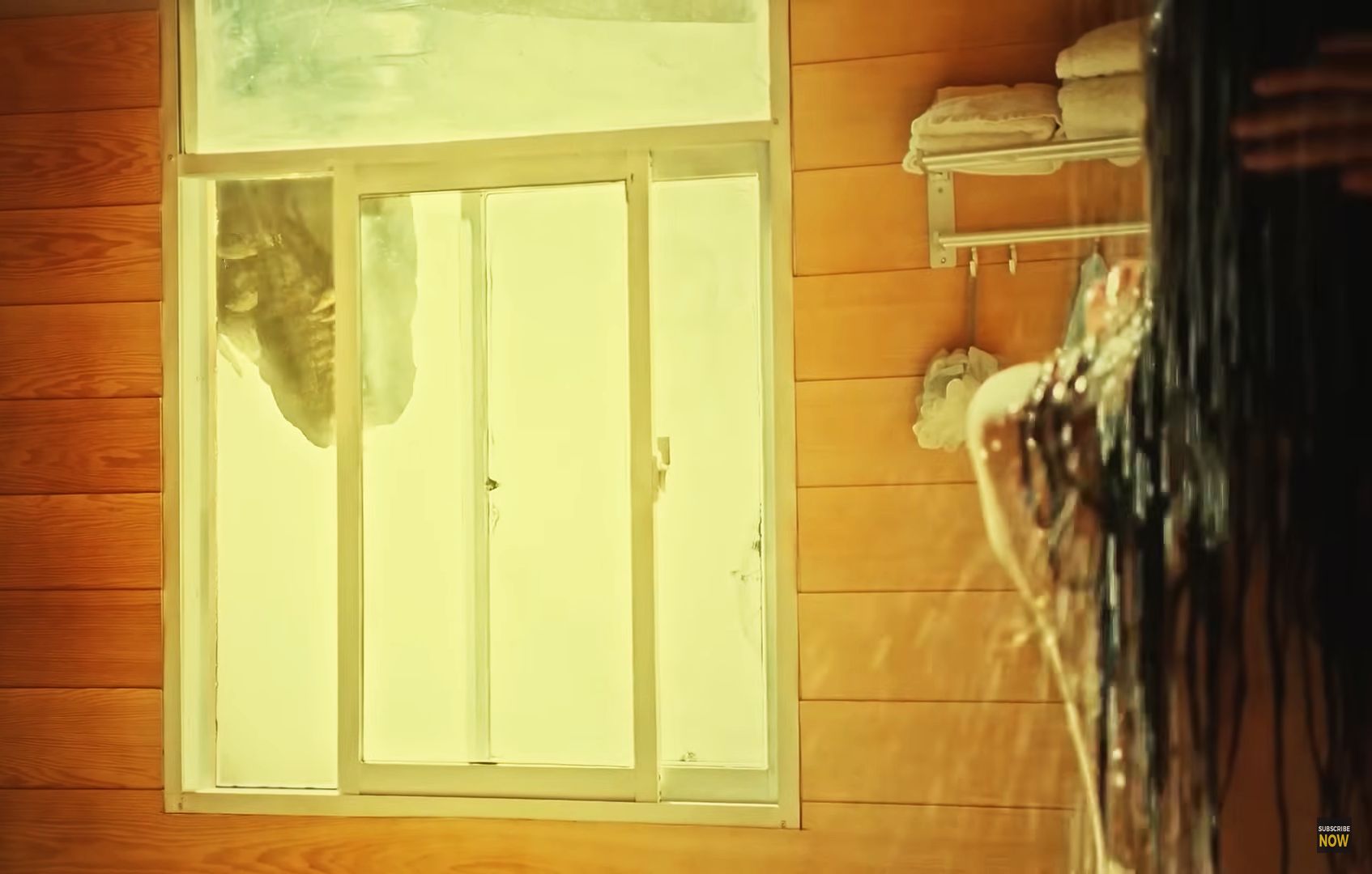 The Lizard (2023) - Film Blitz