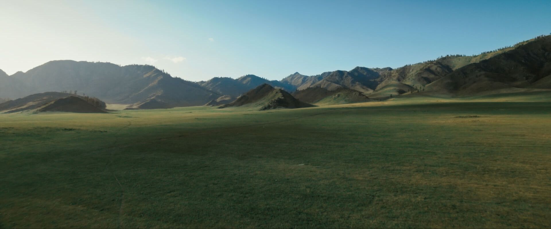 Pain Threshold (2019) - Film Blitz